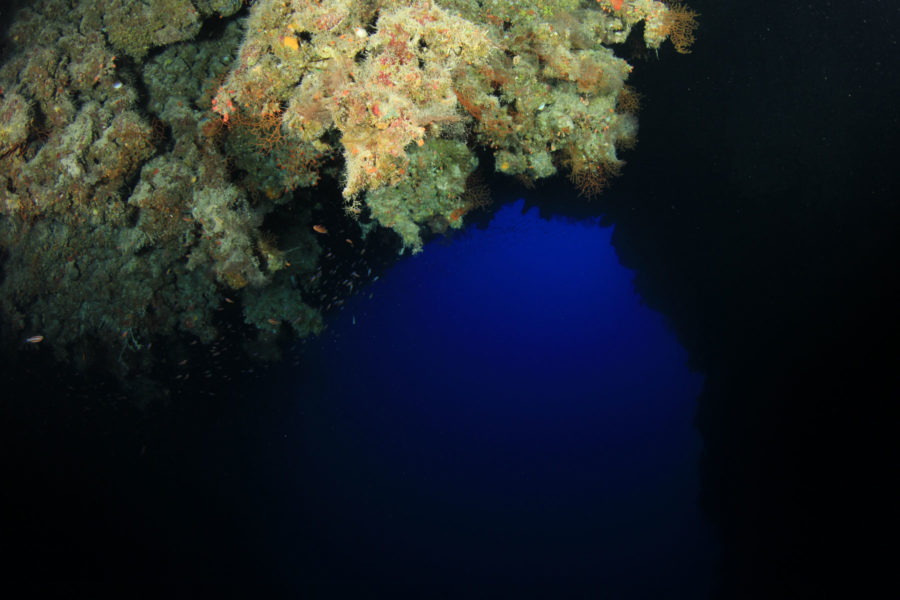 Everything You Need to Know About Diving the Blue Hole in Dahab, Egypt ...